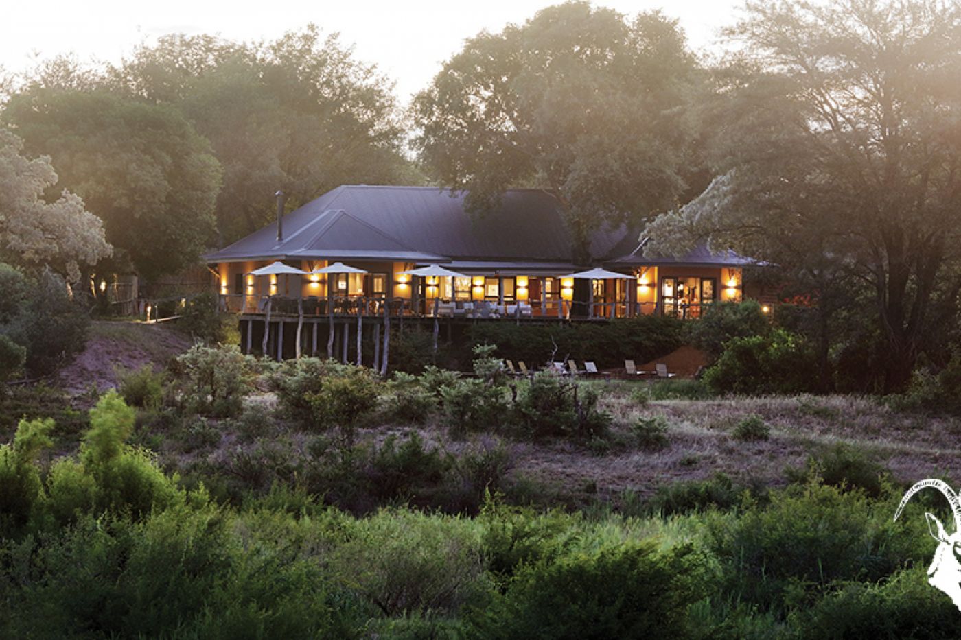 Mala Mala Game Reserve - Kaminari